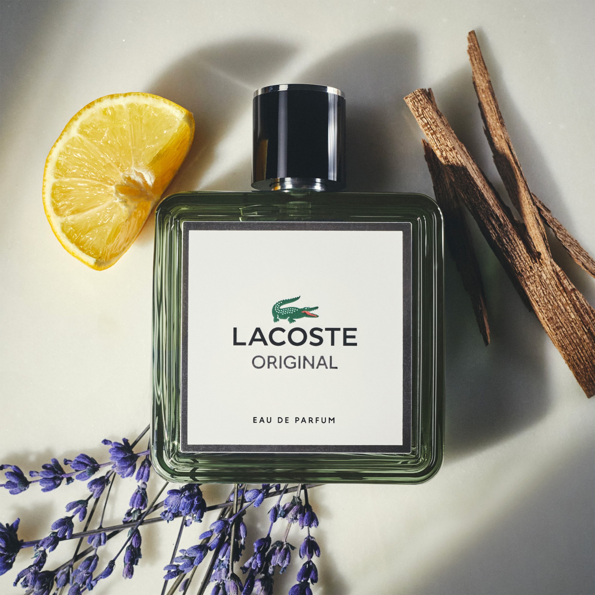 LACOSTE Original Set | muški set | Prodaja Srbija | TopTaurus